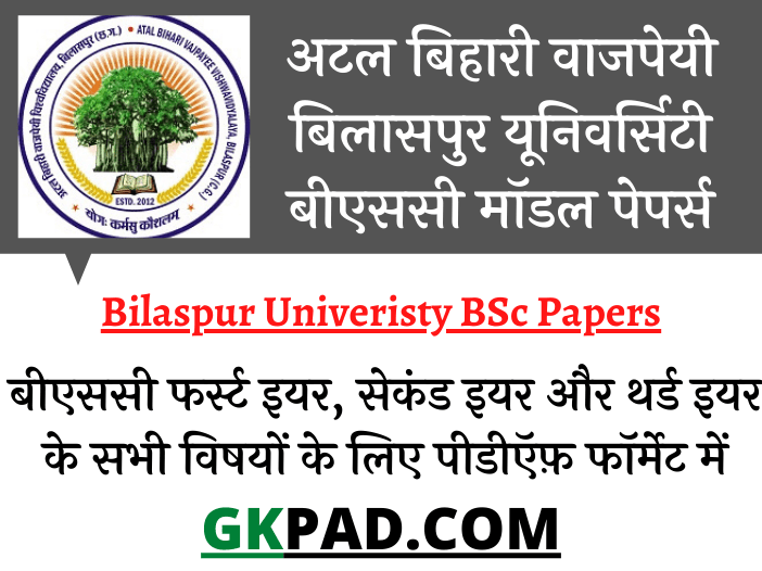 Bilaspur University BSc Question Papers 2022 PDF - ABVV Model Paper